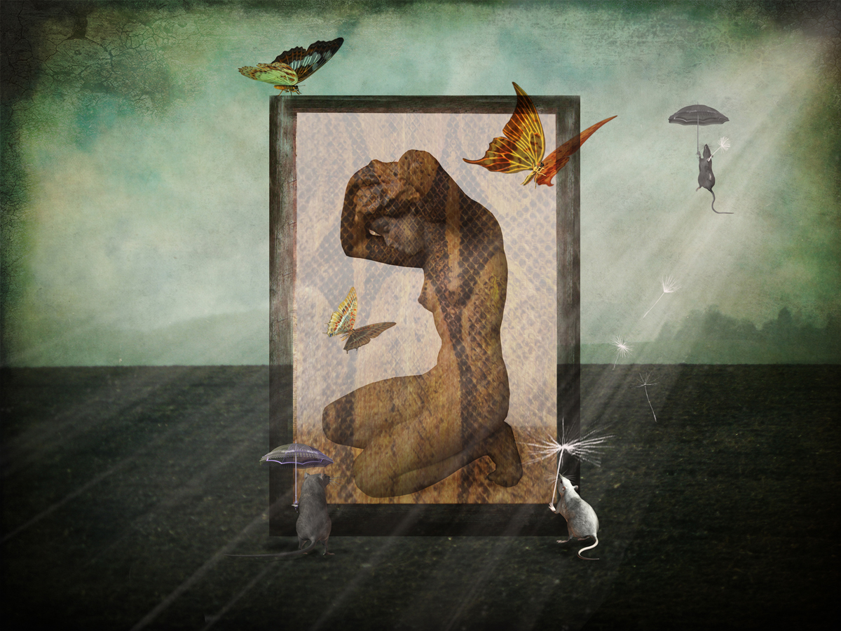 Do You Know The Beautiful Poem ‘Clearing’ by Martha Postlethwaite? By ...